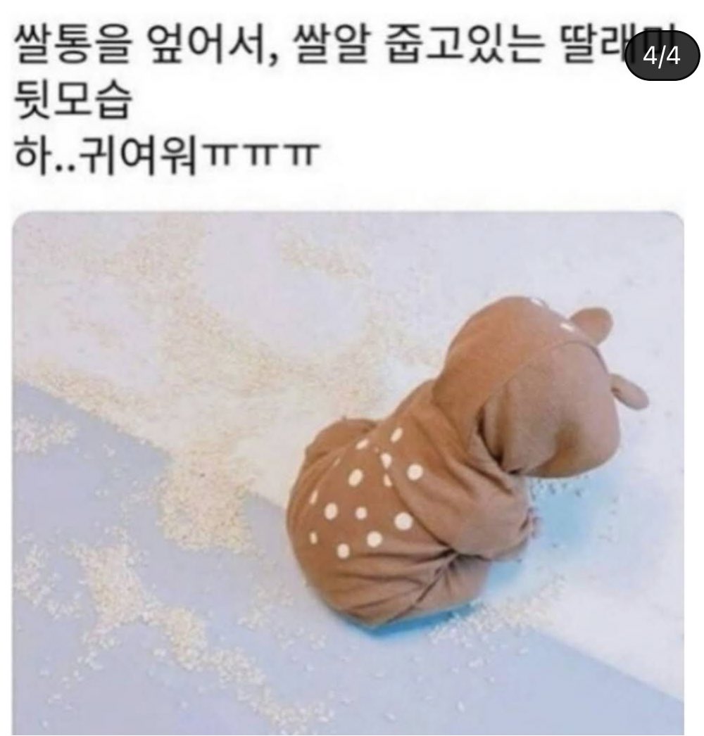 대한민국 뒤태 4인방 인스티즈 Instiz 이슈 카테고리