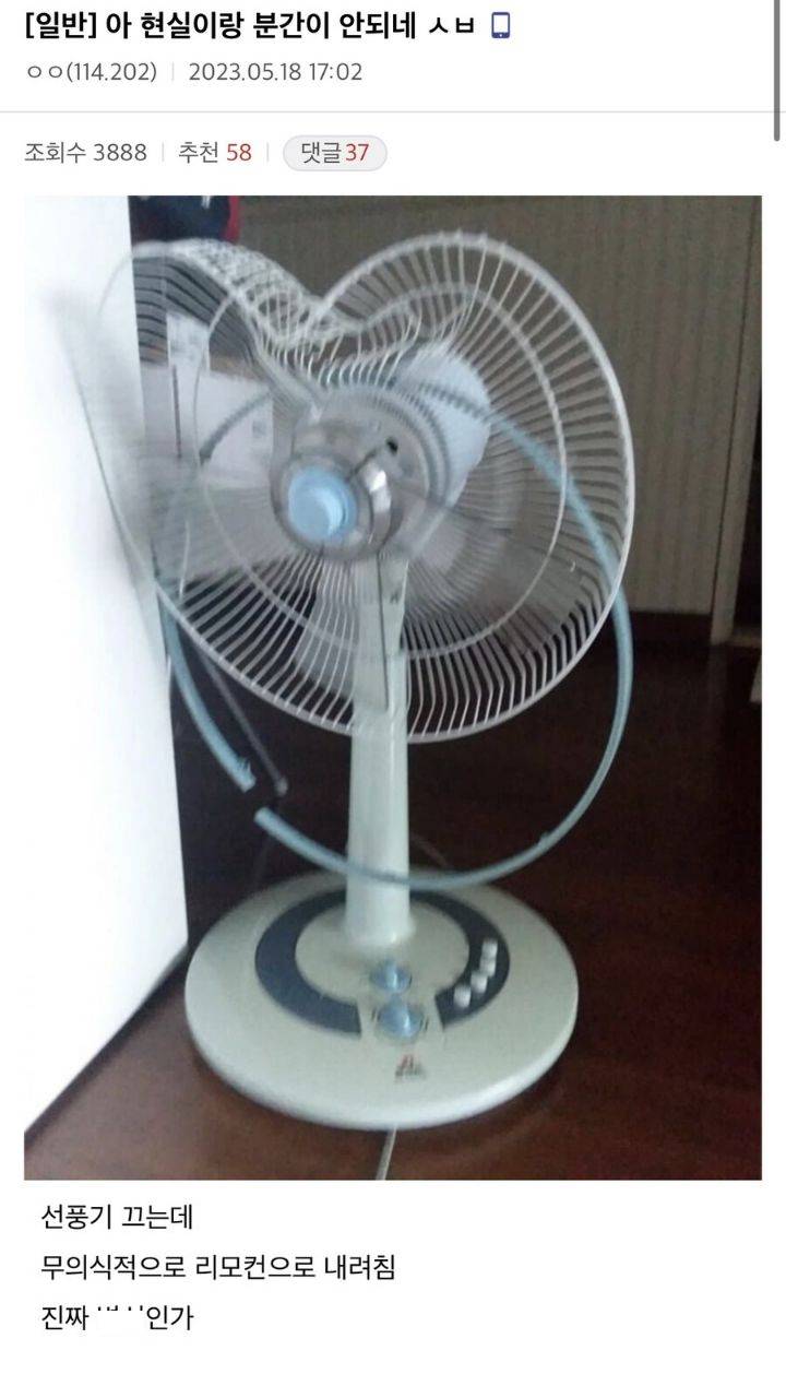 젤다에 중독돼서 현실이랑 분간못하는 디시인 인스티즈 Instiz 이슈 카테고리