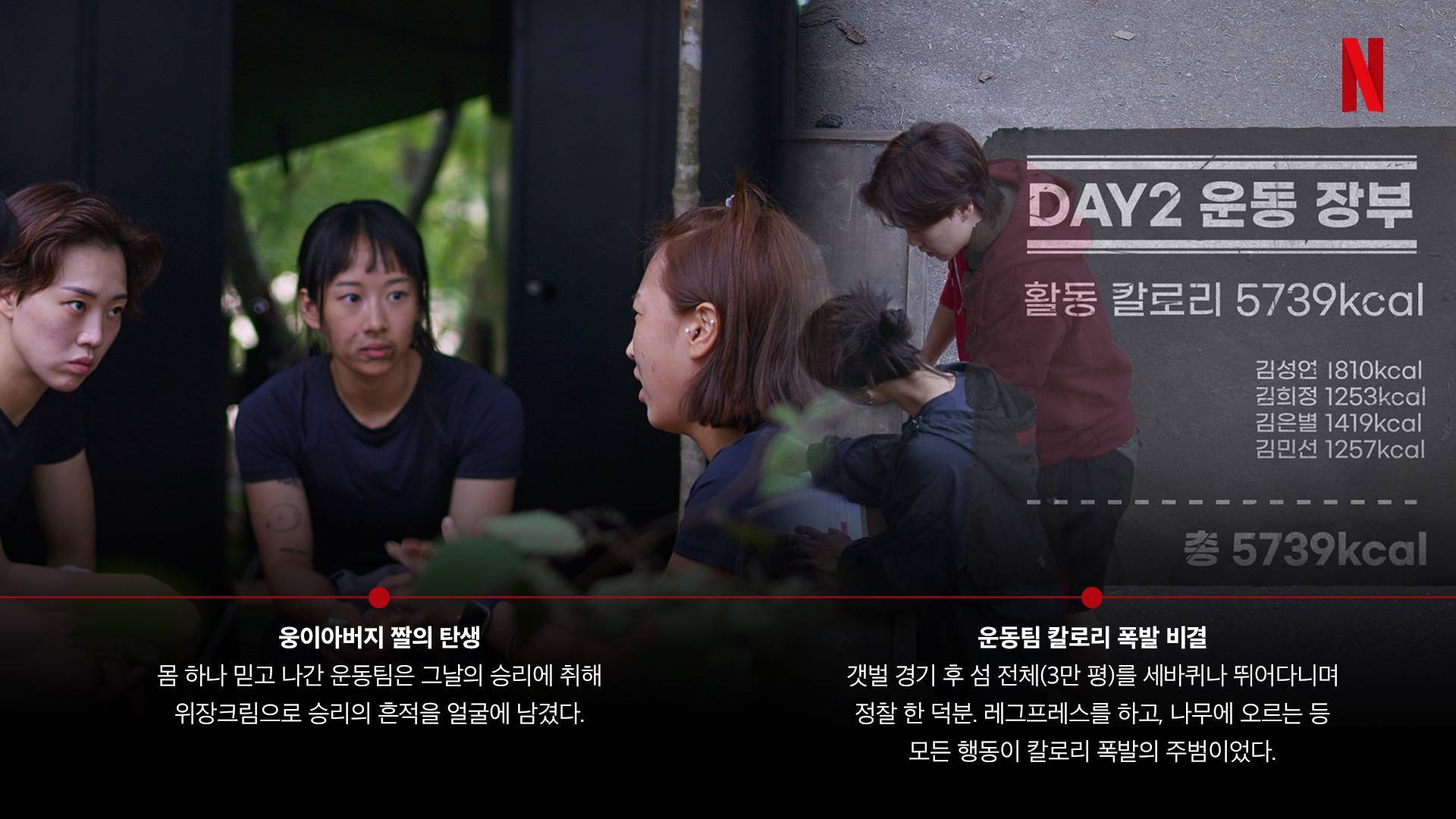 [사이렌:불의섬] TMI 대방출 - 인스티즈(instiz) 인티포털 카테고리