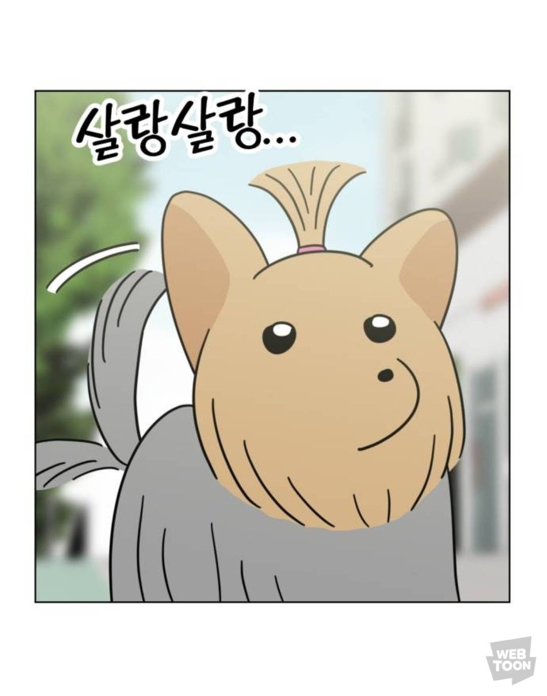 밖에서 보면 큰일난다고 난리난 웹툰 마루는 강쥐 오늘자 에피 인스티즈instiz 이슈 카테고리