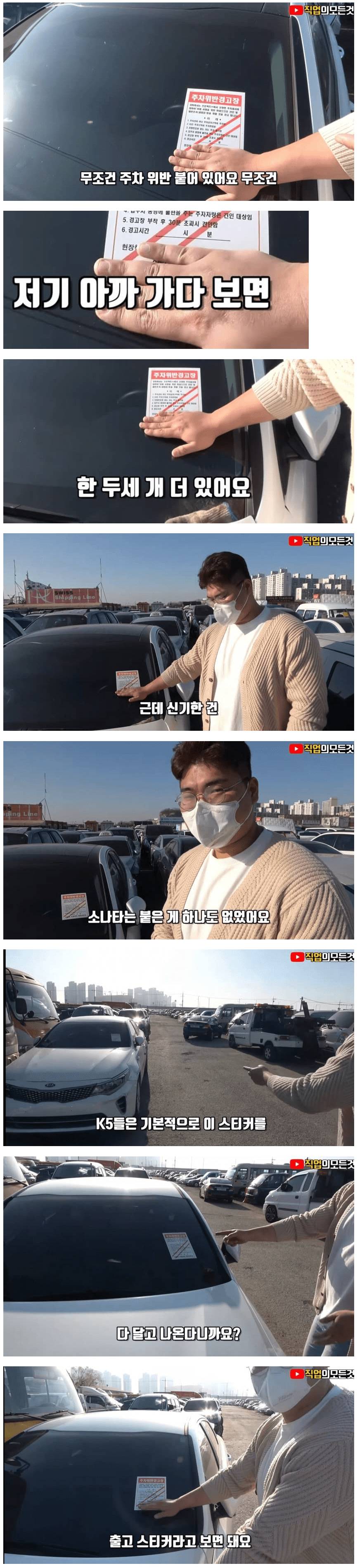 중고차 유튜버가 차팔면서 느낀 K5 특징..jpg - 인스티즈(instiz) 이슈 카테고리