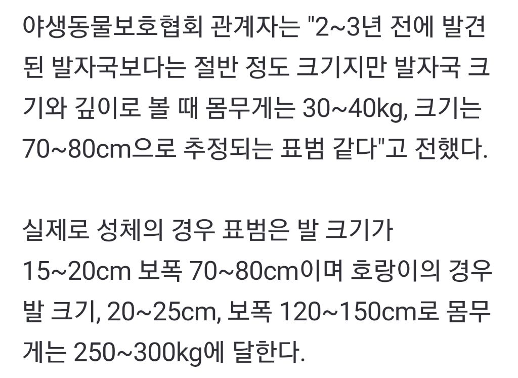 악어 이어 표범? 영주서 20cm 고양이과 동물 발자국 발견 - 인스티즈(instiz) 이슈 카테고리