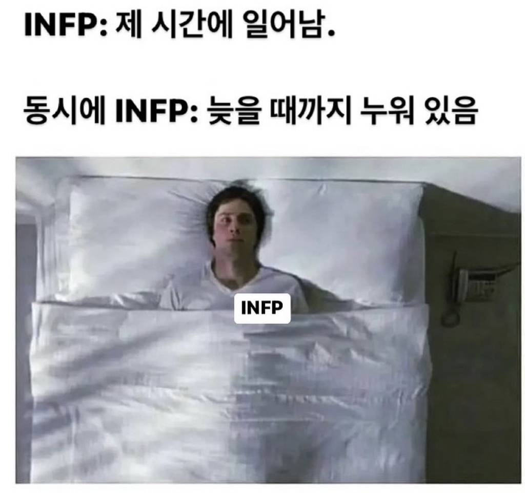찐 INFP가 공감한 INFP밈 - 인스티즈(instiz) 이슈 카테고리