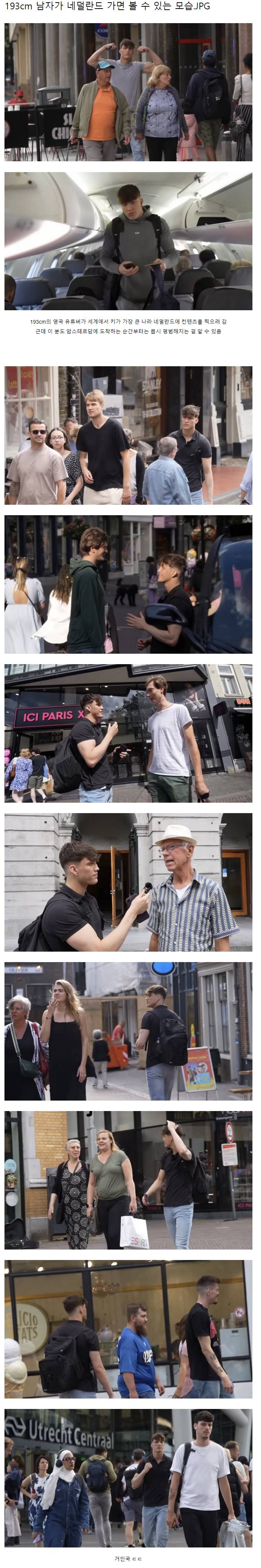193cm 신장의 영국인이 네덜란드에 가보았다 - 인스티즈(instiz) 이슈 카테고리