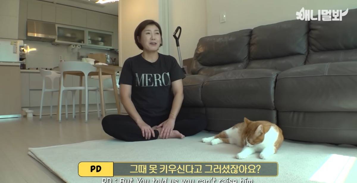 미용실 오픈런 하던 고양이의 근황 - 인스티즈(instiz) 이슈 카테고리