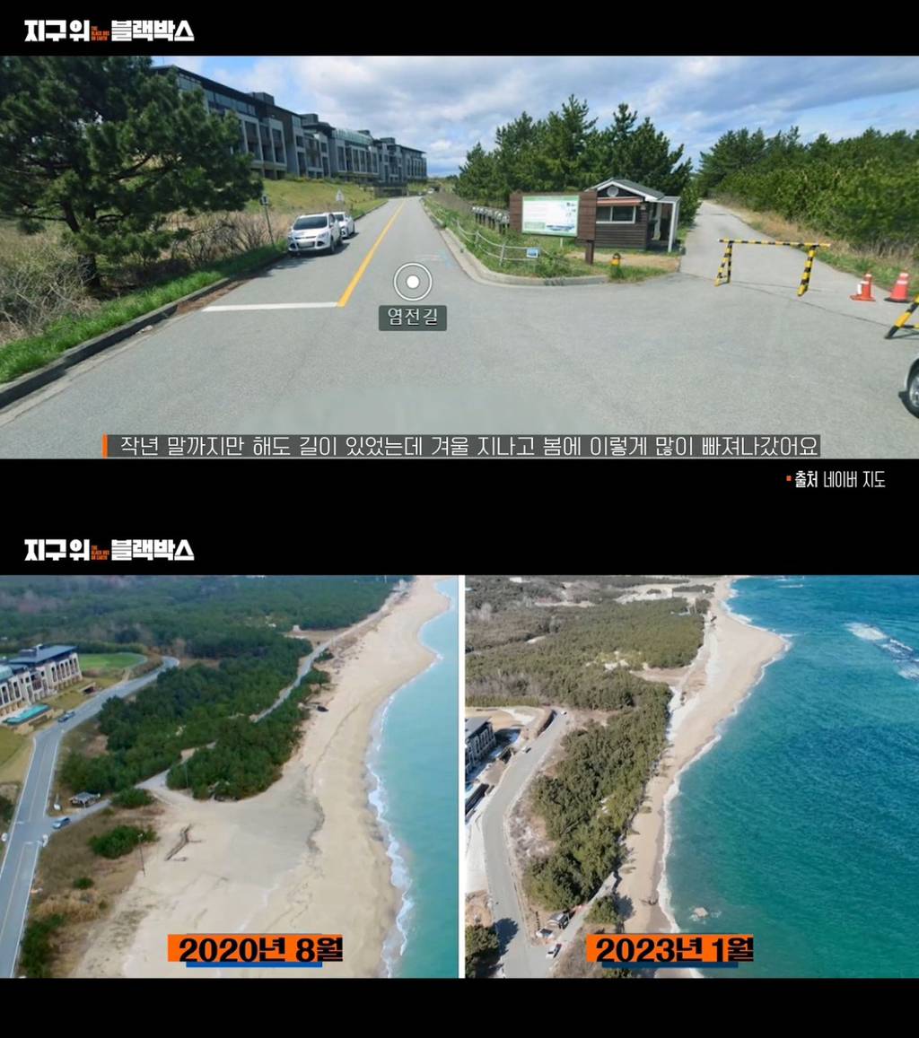 기후 위기의 현실을 알리고자 물속에서 노래하는 YB.mp4 - 인스티즈(instiz) 이슈 카테고리