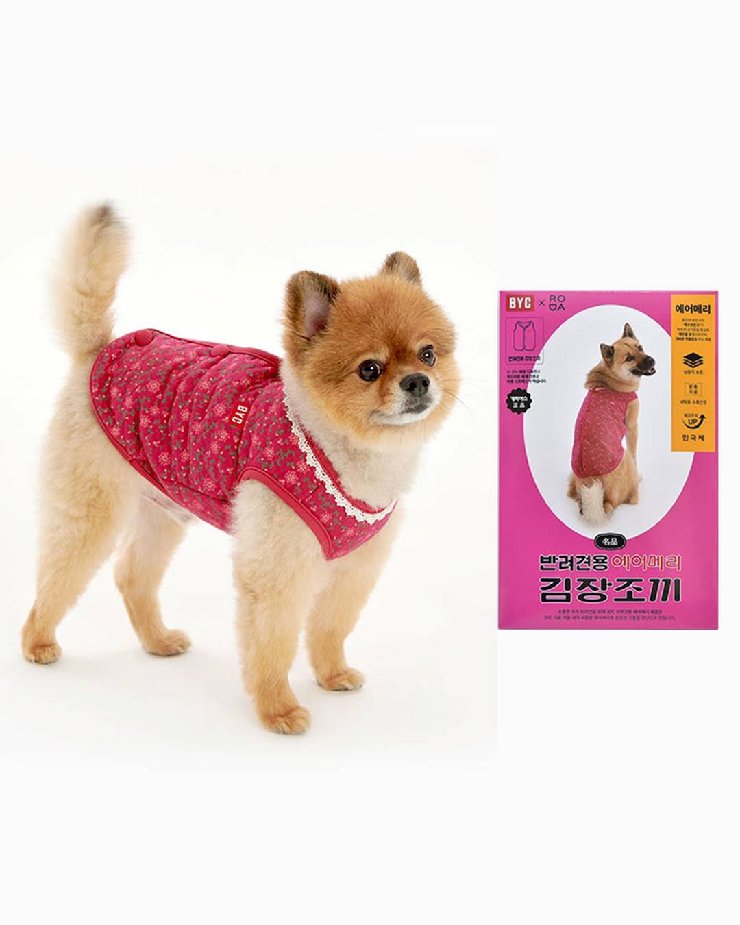 BYC 반려동물 옷 FW 신상 김장조끼.jpg - 인스티즈(instiz) 이슈 카테고리