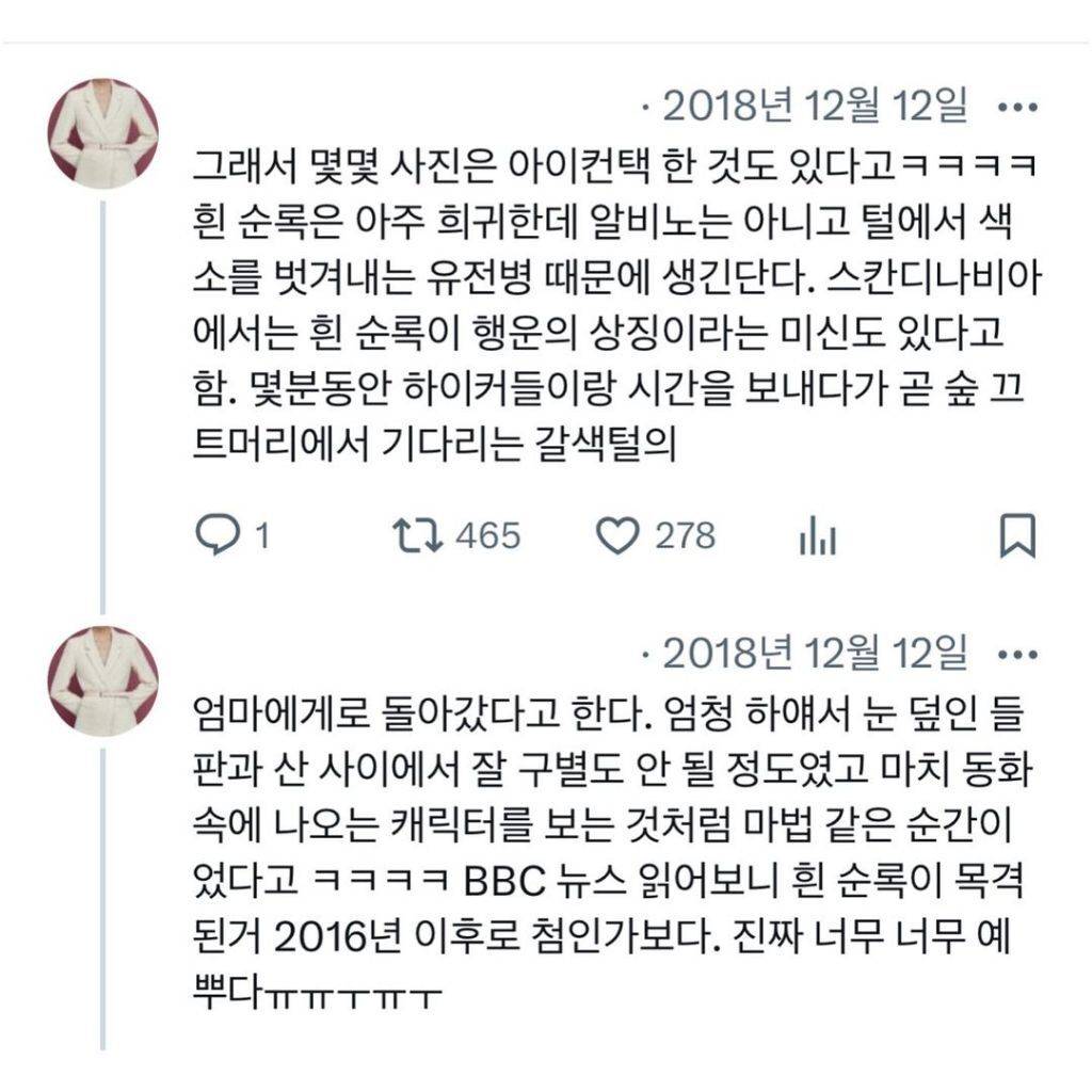 동화 속 같은 흰 아기 순록 인스티즈 Instiz 이슈 카테고리