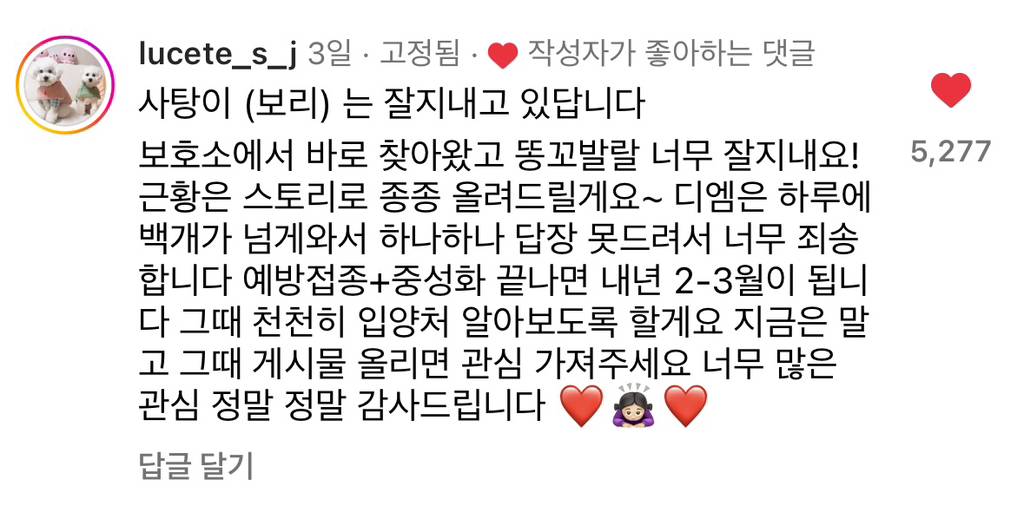 유기견 입양해서 보호소에 바로 유기^^.reels - 인스티즈(instiz) 이슈 카테고리