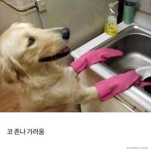 고무장갑 끼고 설거지 할 때 공감 인스티즈 Instiz 이슈 카테고리