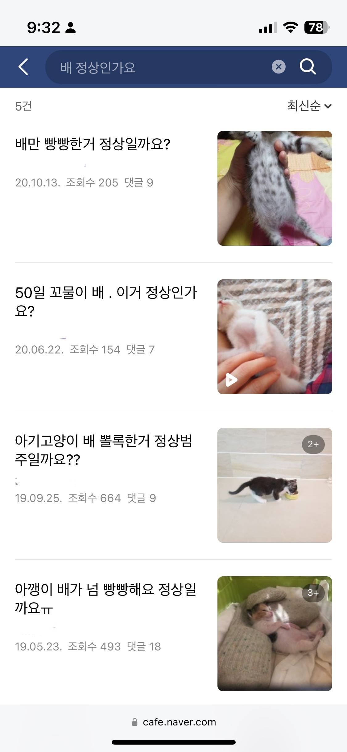 아기고양이 뽀뽀 - 인스티즈(instiz) 이슈 카테고리