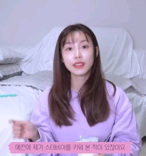 설탕보다 300배 달지만 0칼로리........jpg - 인스티즈(instiz) 이슈 카테고리