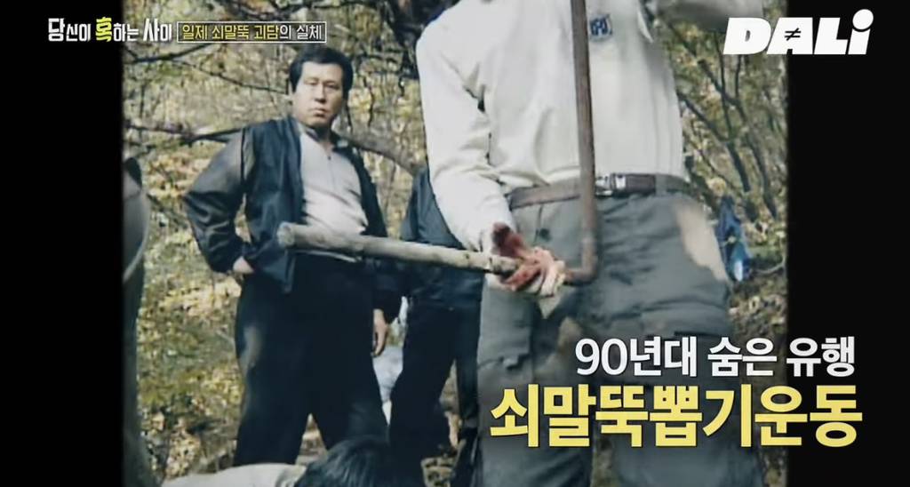 율곡이이, 이순신, 세종대왕 집안 묘소에 130kg 넘는 쇠말뚝과 식칼이 박혀 충격 - 인스티즈(instiz) 이슈 카테고리