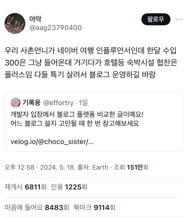 사촌언니가 네이버 여행 인플루언서인데 한달 수입 300은 그냥 들어온대 twt - 인스티즈(instiz) 이슈 카테고리