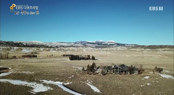 [EBS 다큐프라임] 맛의 배신 完 - 인스티즈(instiz) 이슈 카테고리