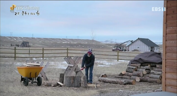 [EBS 다큐프라임] 맛의 배신 完 - 인스티즈(instiz) 이슈 카테고리