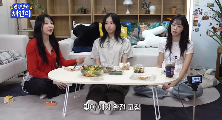 이채연과 같이 프듀 나왔었던 WM 연습생들 근황 - 인스티즈(instiz) 이슈 카테고리