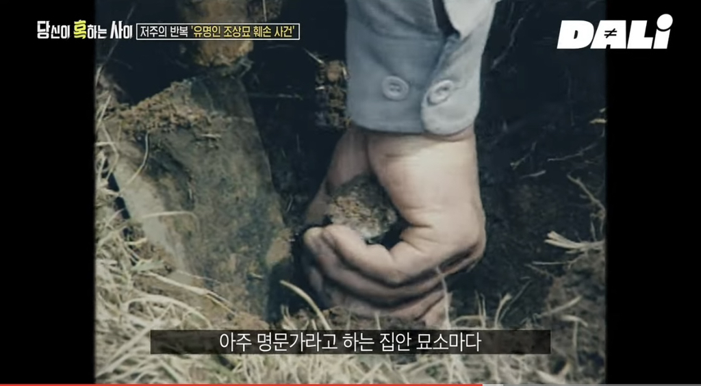 율곡이이, 이순신, 세종대왕 집안 묘소에 130kg 넘는 쇠말뚝과 식칼이 박혀 충격 - 인스티즈(instiz) 이슈 카테고리