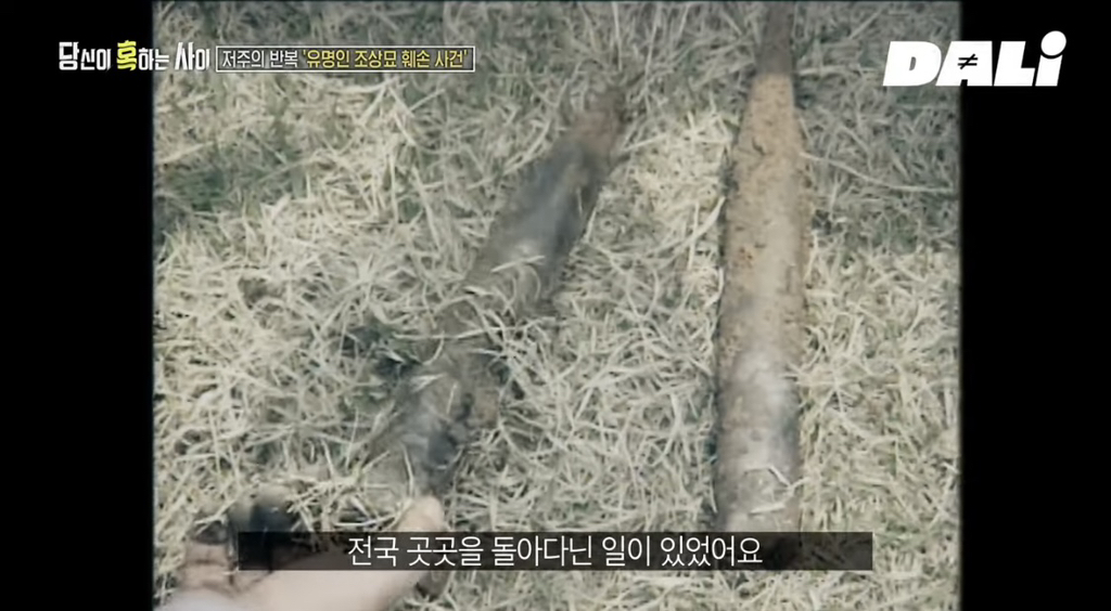 율곡이이, 이순신, 세종대왕 집안 묘소에 130kg 넘는 쇠말뚝과 식칼이 박혀 충격 - 인스티즈(instiz) 이슈 카테고리