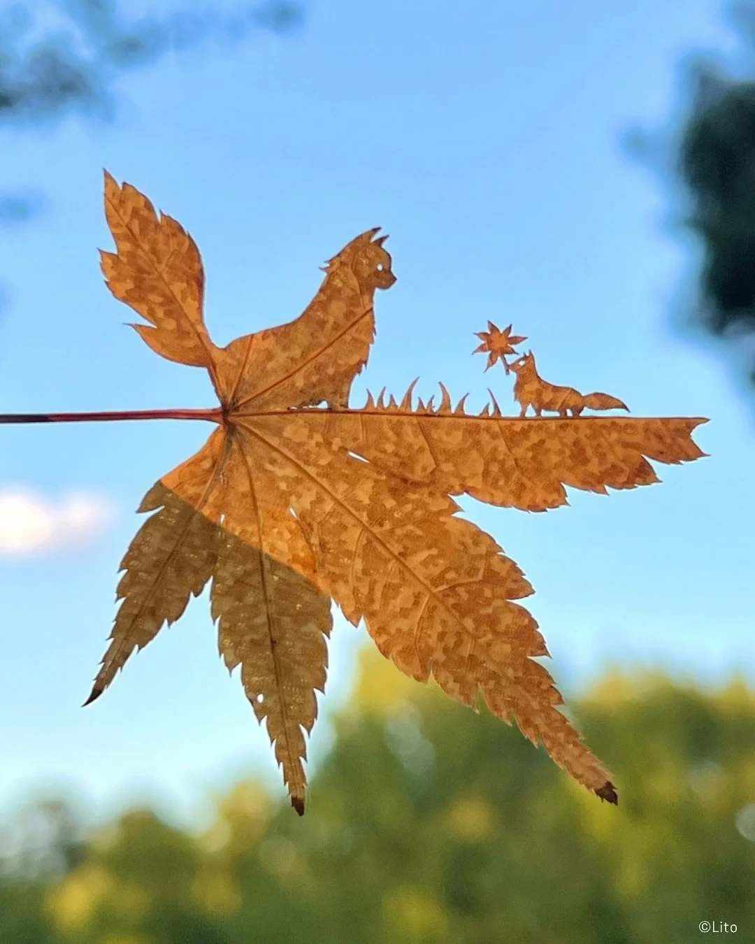 30살에 ADHD 판정 받고 시작한 예술 - 인스티즈(instiz) 이슈 카테고리