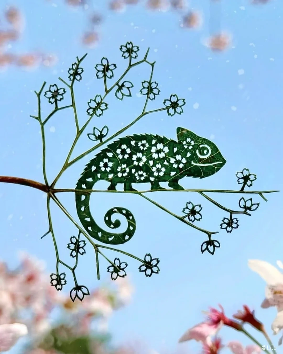 30살에 ADHD 판정 받고 시작한 예술 - 인스티즈(instiz) 이슈 카테고리