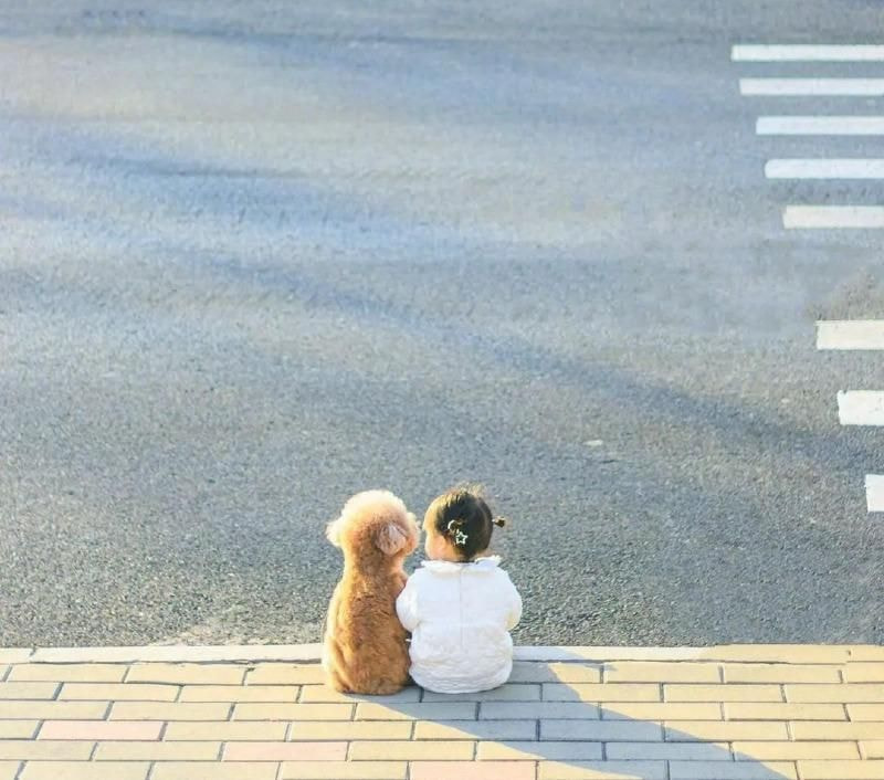 딸 키우는 집에서 강아지를 키우면 생기는 일 - 인스티즈(instiz) 이슈 카테고리