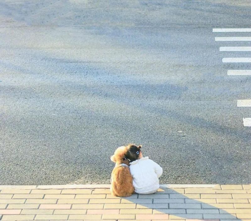 딸 키우는 집에서 강아지를 키우면 생기는 일 - 인스티즈(instiz) 이슈 카테고리