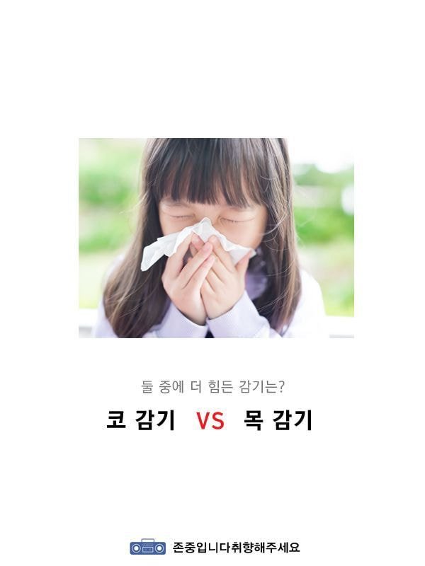 코감기 vs 목감기 둘 중 더 힘든 것은? - 인스티즈(instiz) 이슈 카테고리