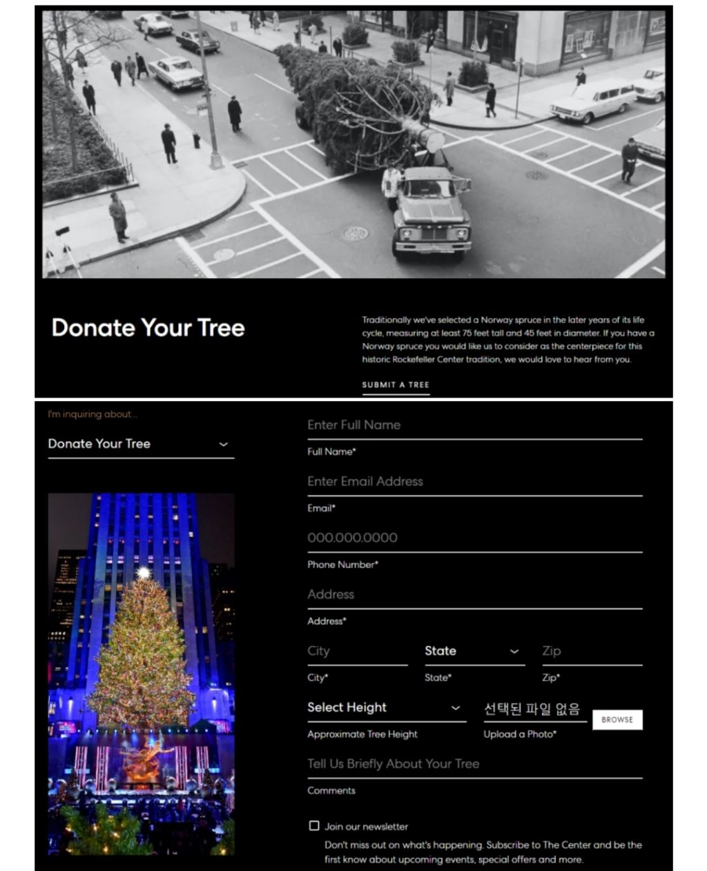 뉴욕 록펠러센터 크리스마스 트리 이야기 - 인스티즈(instiz) 이슈 카테고리