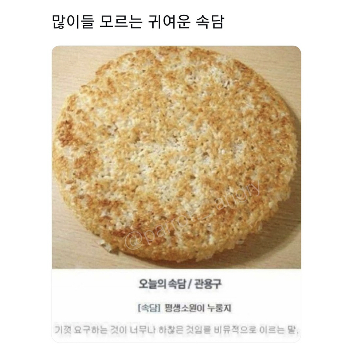 많이들 모르는 귀여운 속담 - 인스티즈(instiz) 이슈 카테고리