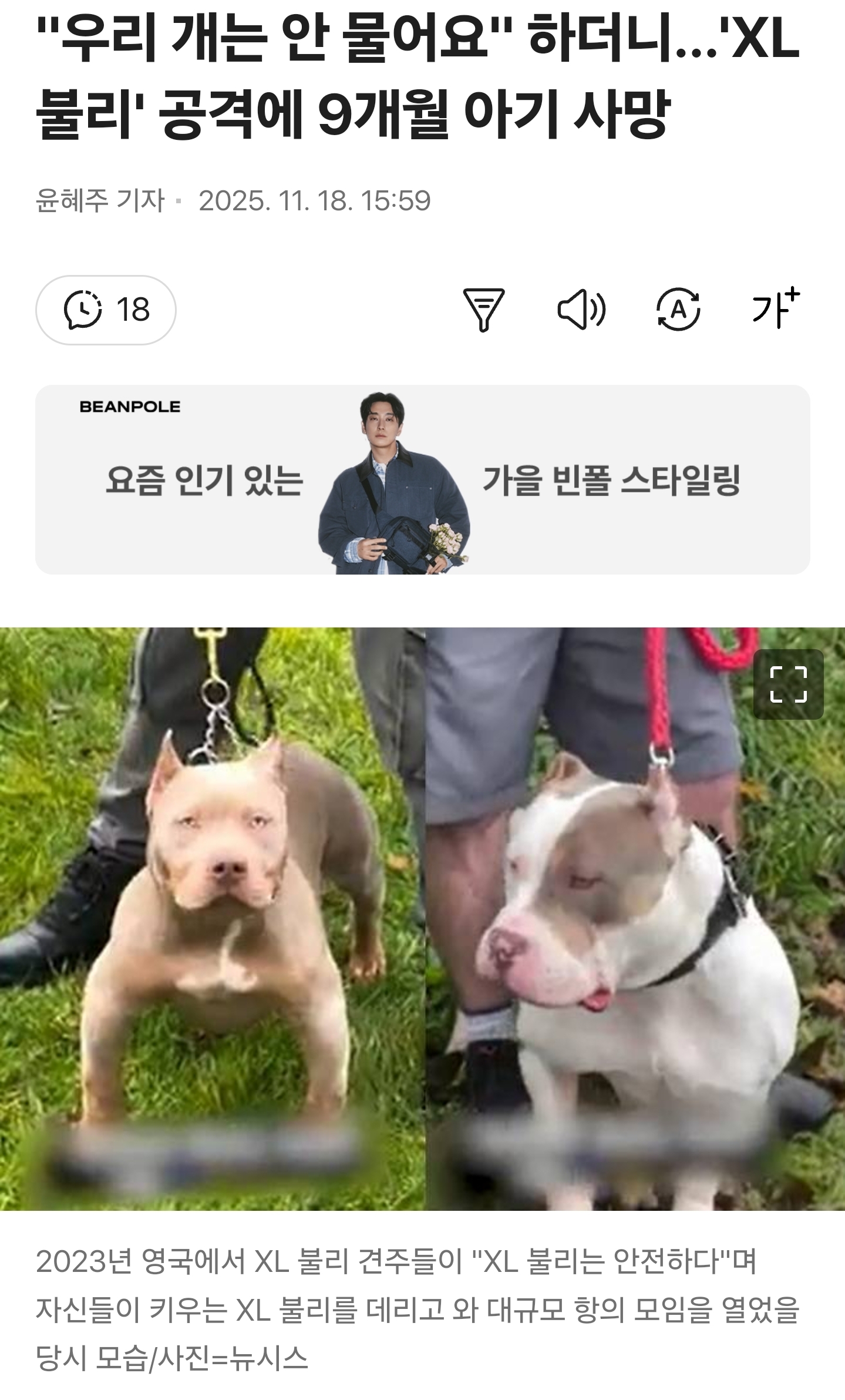 우리개는 안물어요 하더니 불리 공격에 9개월 아기 사망 - 인스티즈(instiz) 이슈 카테고리
