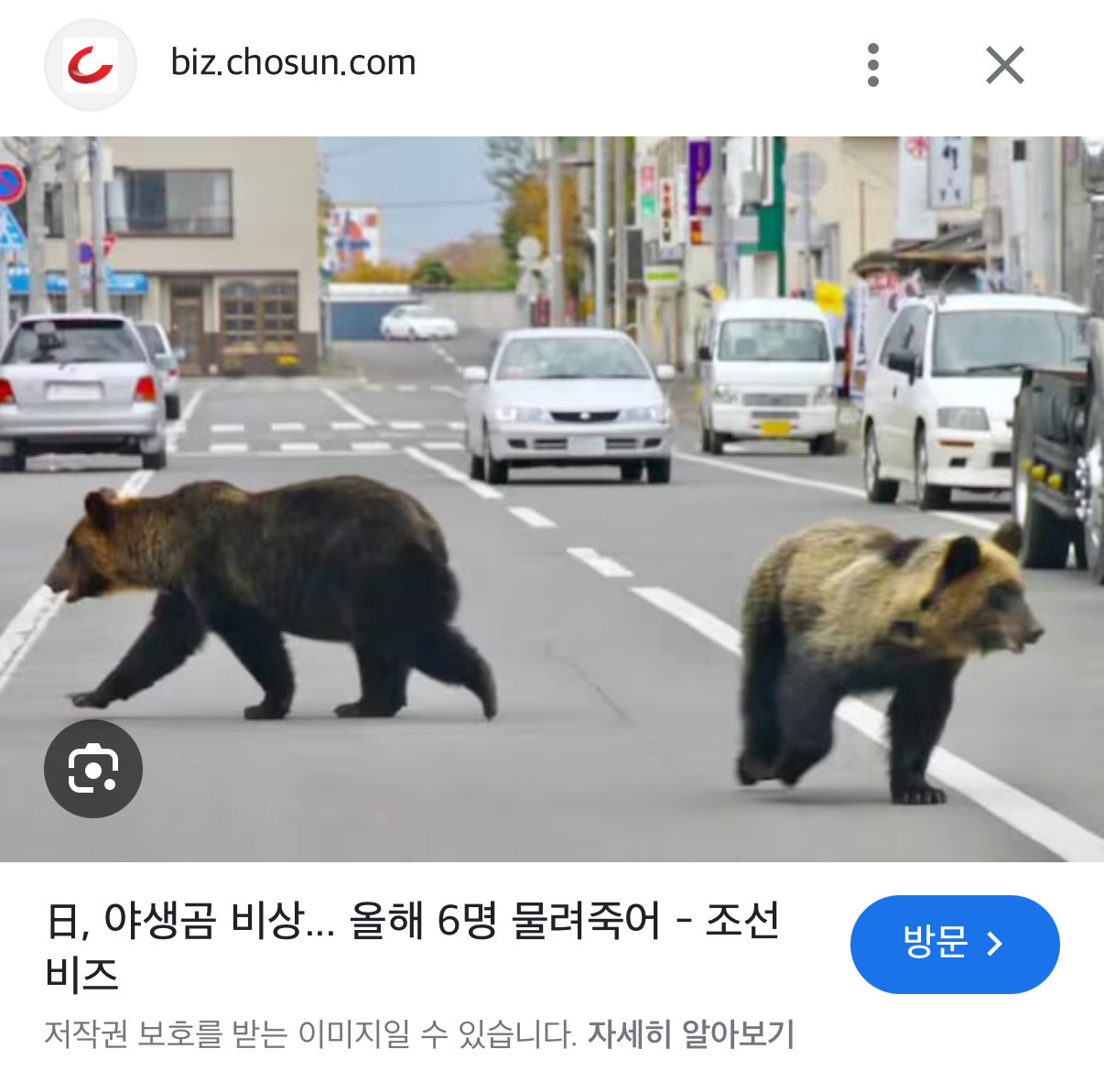 요즘 다사다난한 일본 근황 - 인스티즈(instiz) 이슈 카테고리