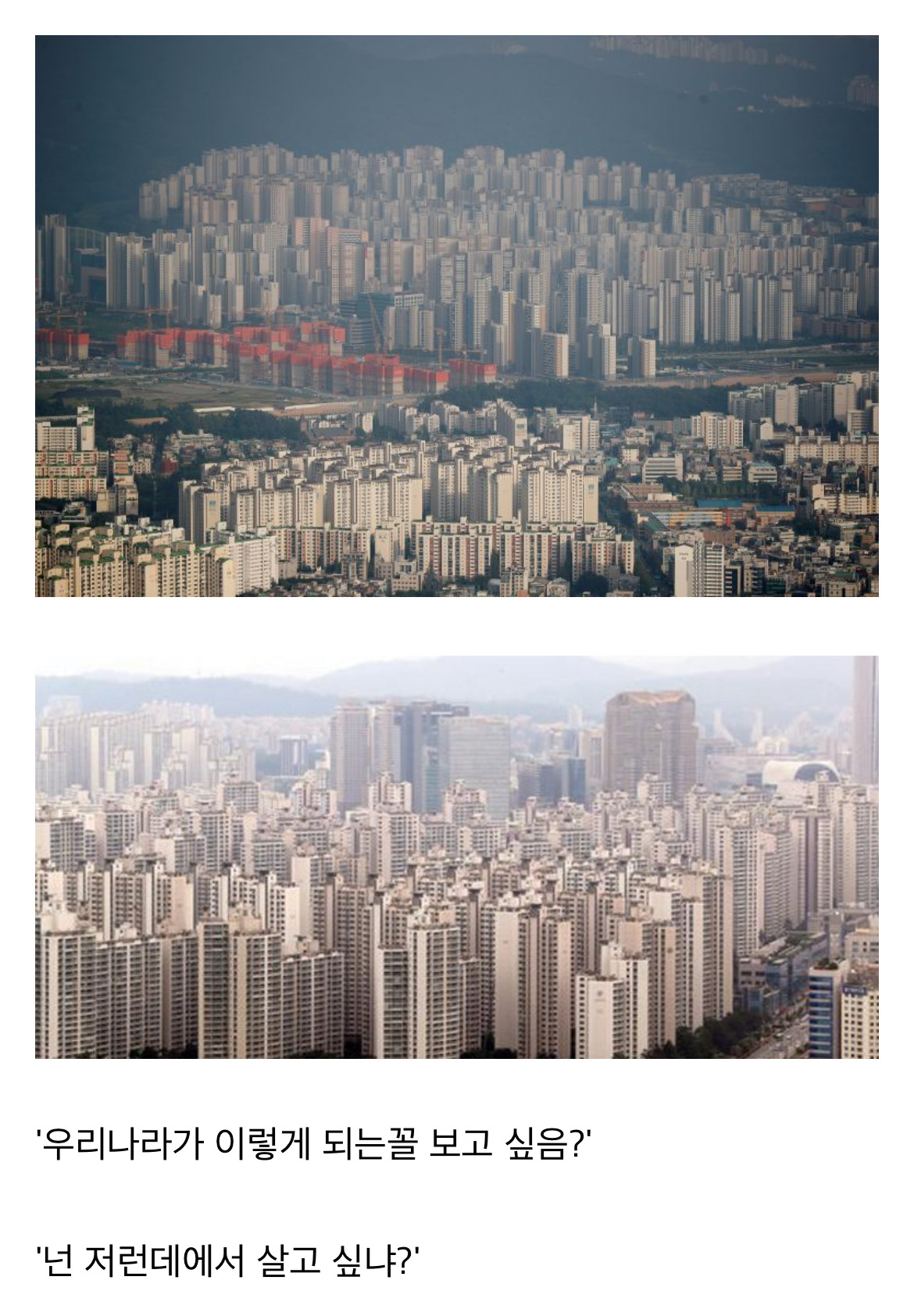 아일랜드 사회 논란에 갑자기 머리채 잡힌 한국..jpg - 인스티즈(instiz) 이슈 카테고리