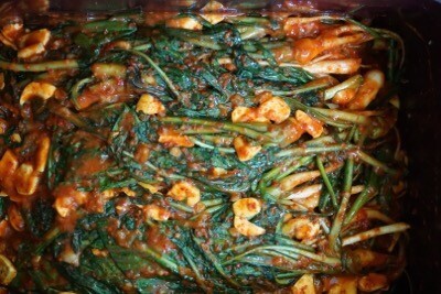 고들빼기김치 jpg - 인스티즈(instiz) 이슈 카테고리