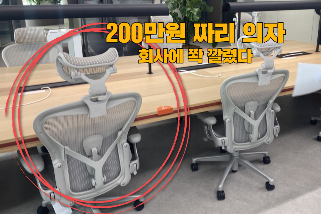 비싼만큼 좋다는 허먼밀러 의자 - 인스티즈(instiz) 이슈 카테고리