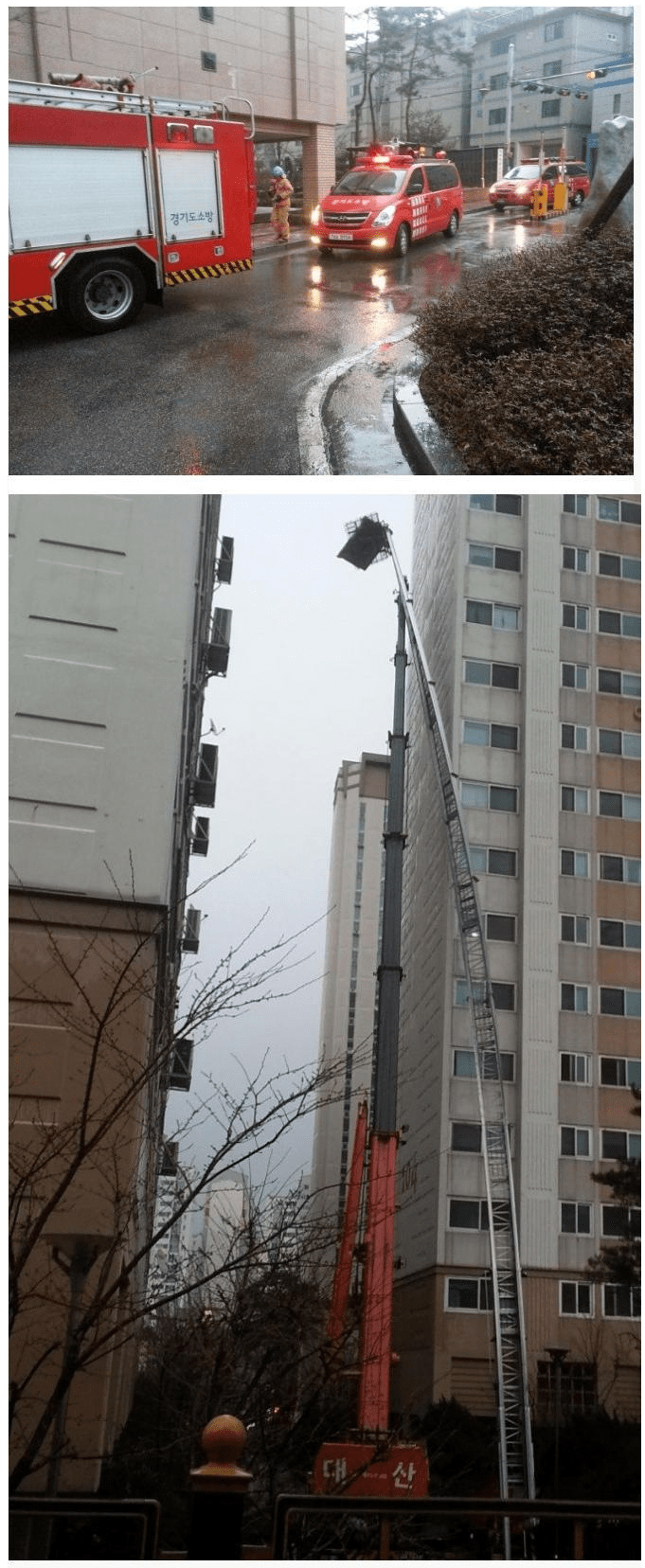 이사하다가 119부름 - 인스티즈(instiz) 이슈 카테고리