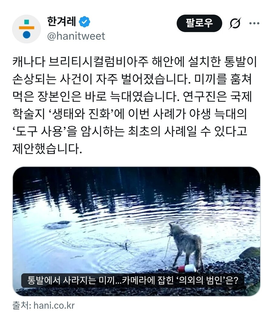 통발 미끼 몰래 훔먹은 범인 .gif - 인스티즈(instiz) 이슈 카테고리