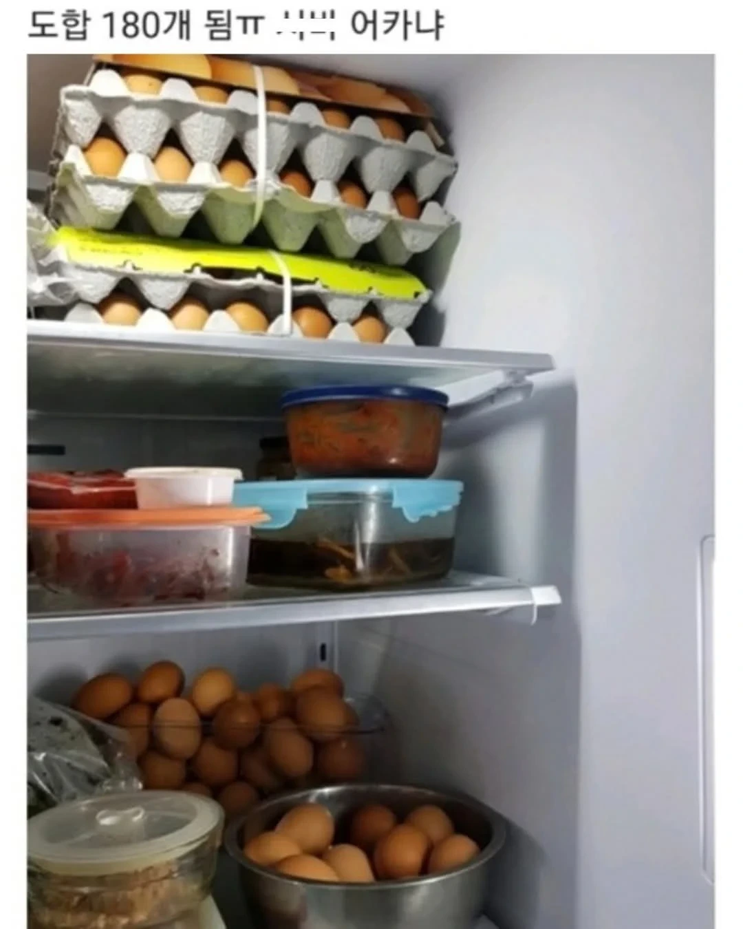 집안 통신 꼬여서 계란 180개됨 - 인스티즈(instiz) 이슈 카테고리