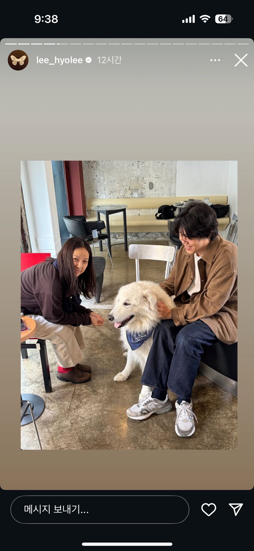 이효리가 임보하던 강아지 꼬깜이 근황 - 인스티즈(instiz) 이슈 카테고리