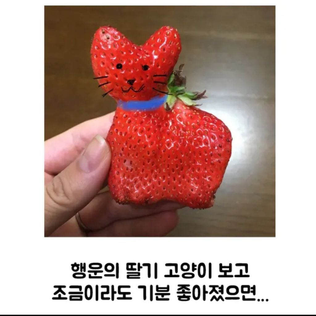 특이한 모양의 딸기.jpg - 인스티즈(instiz) 이슈 카테고리