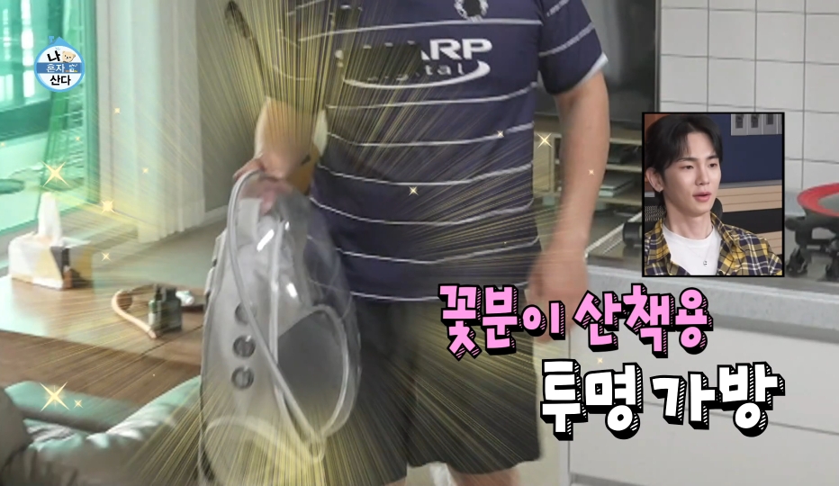 꽃분이 크롭 해주세요 - 인스티즈(instiz) 이슈 카테고리