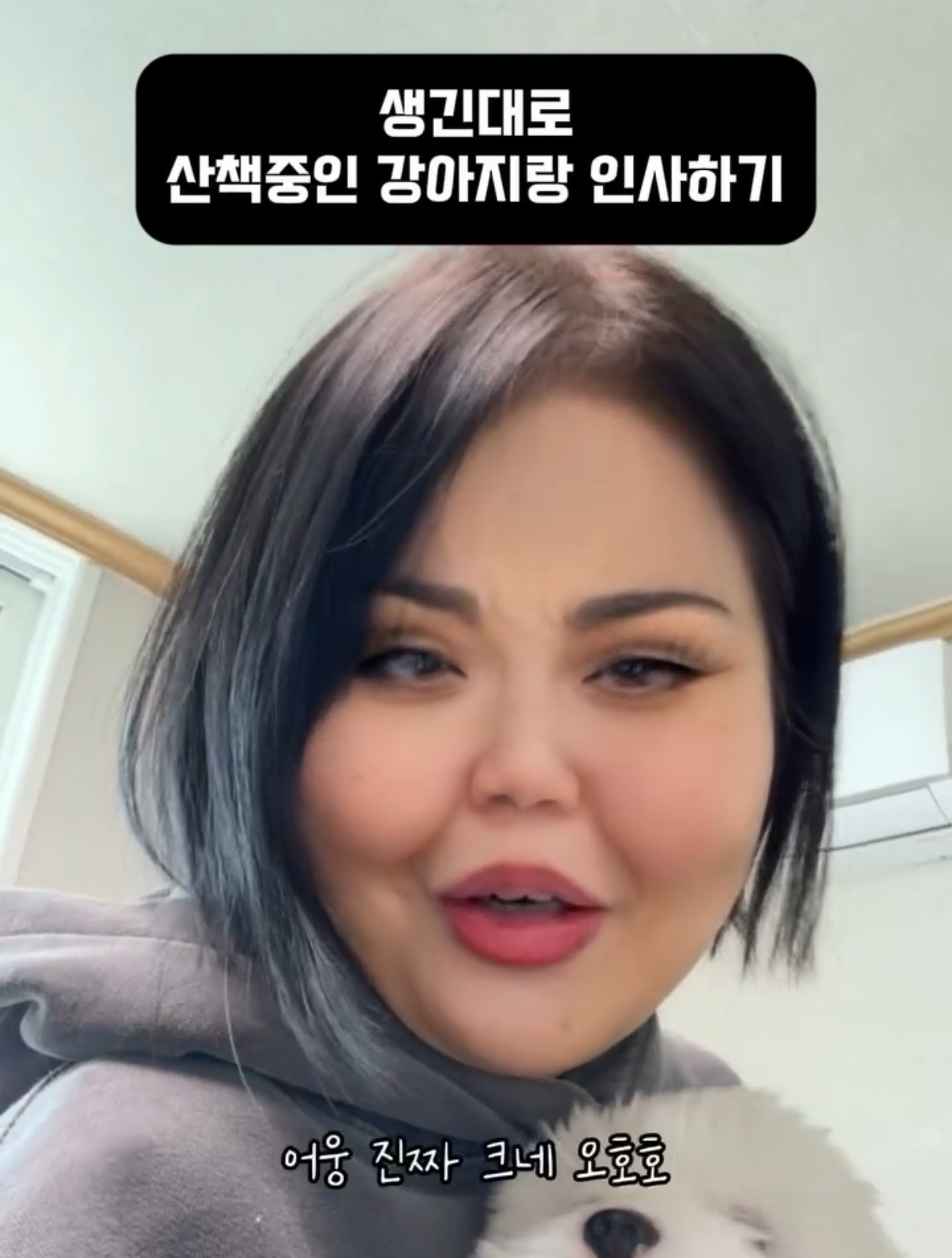 생긴대로 산책중인 강아지랑 인사하기(하이퍼리얼리즘).reels - 인스티즈(instiz) 이슈 카테고리