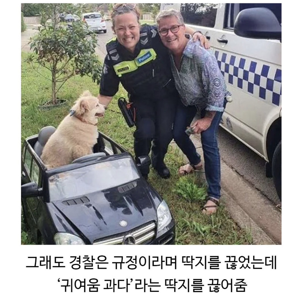 호주에서 적발된 어느 무면허 운전.jpg - 인스티즈(instiz) 이슈 카테고리