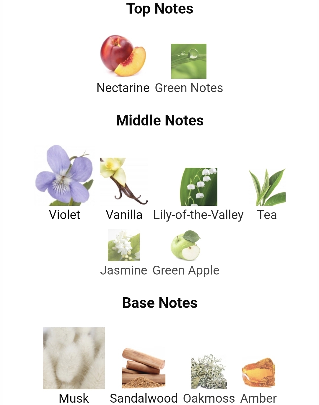 가을겨울에 쓰기 좋은 머스크 노트 향수들.jpg - 인스티즈(instiz) 이슈 카테고리