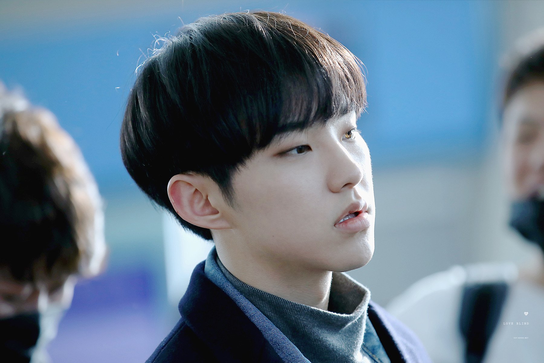 ㄱ 말더듬이 홋른.ask - 인스티즈(instiz) 세븐틴 카테고리