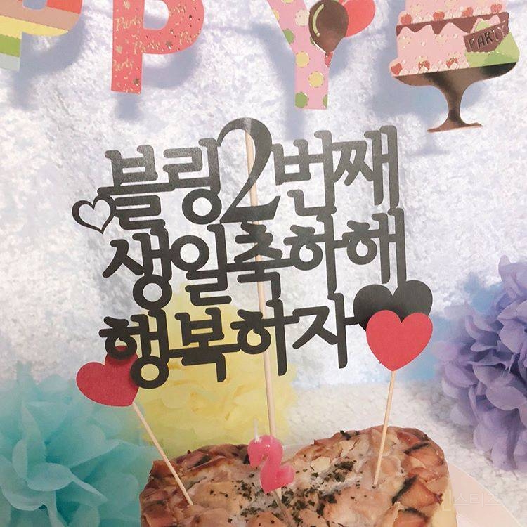 오늘자 고양이 생일파티 해준 전효성 ㅋㅋㅋㅋㅋㅋ - 인스티즈(instiz) 이슈 카테고리