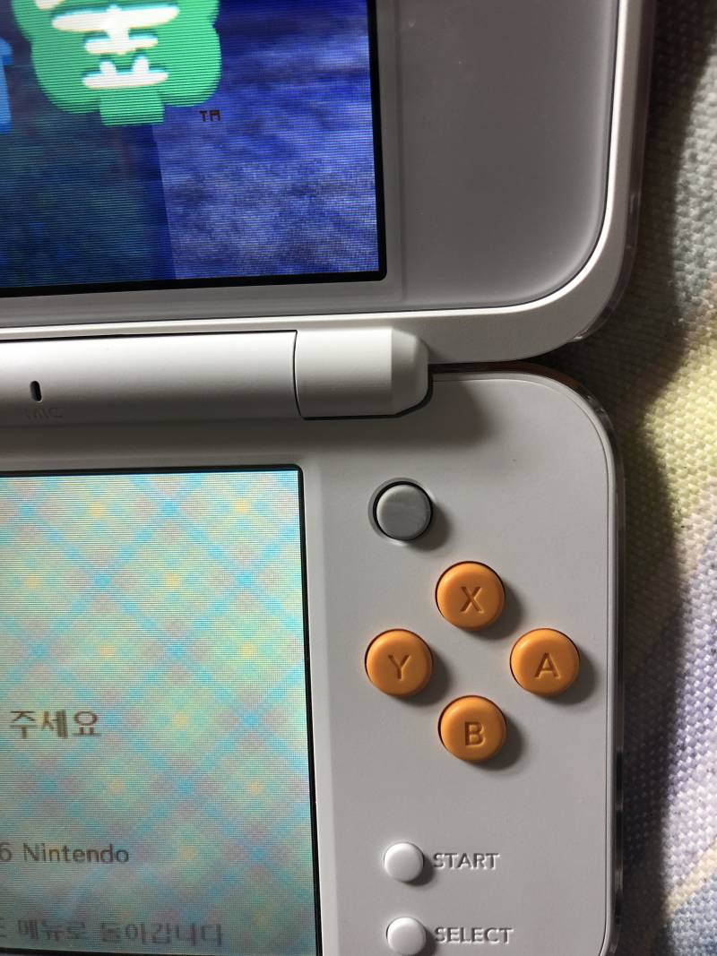 뉴닌텐도 2ds있는 익둘아 - 인스티즈(instiz) 일상 카테고리