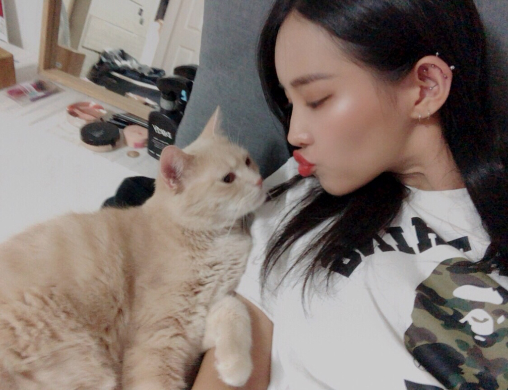 본진 팬들 귀여워 - 인스티즈(instiz) 연예 카테고리