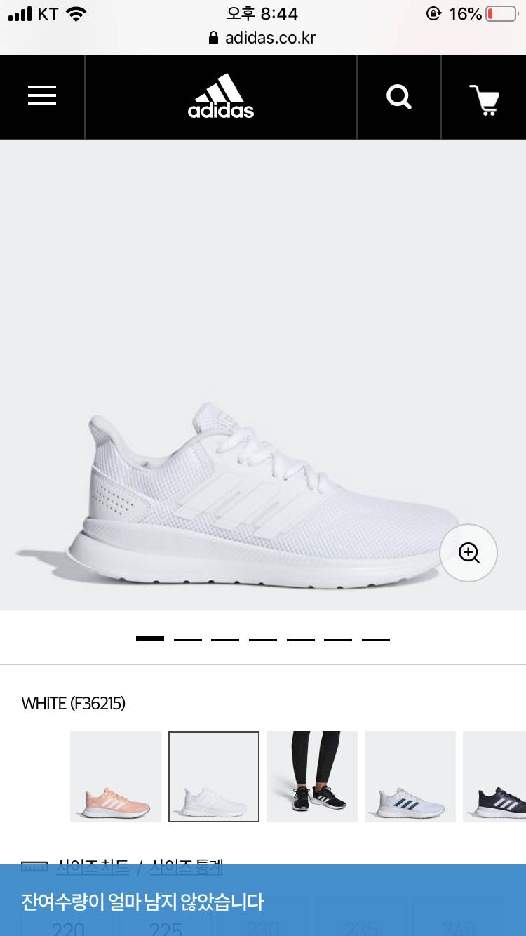 새내기 운동화 골라주세요🐥11223344 - 인스티즈(instiz) 일상 카테고리