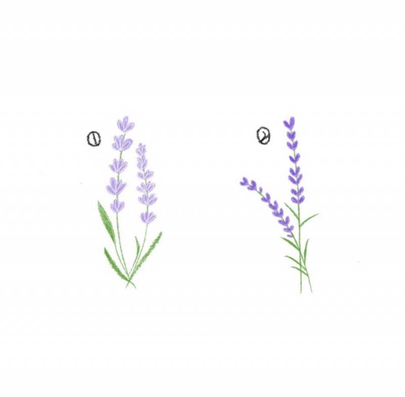 타투 골라종 111112222233333 - 인스티즈(instiz) 일상 카테고리